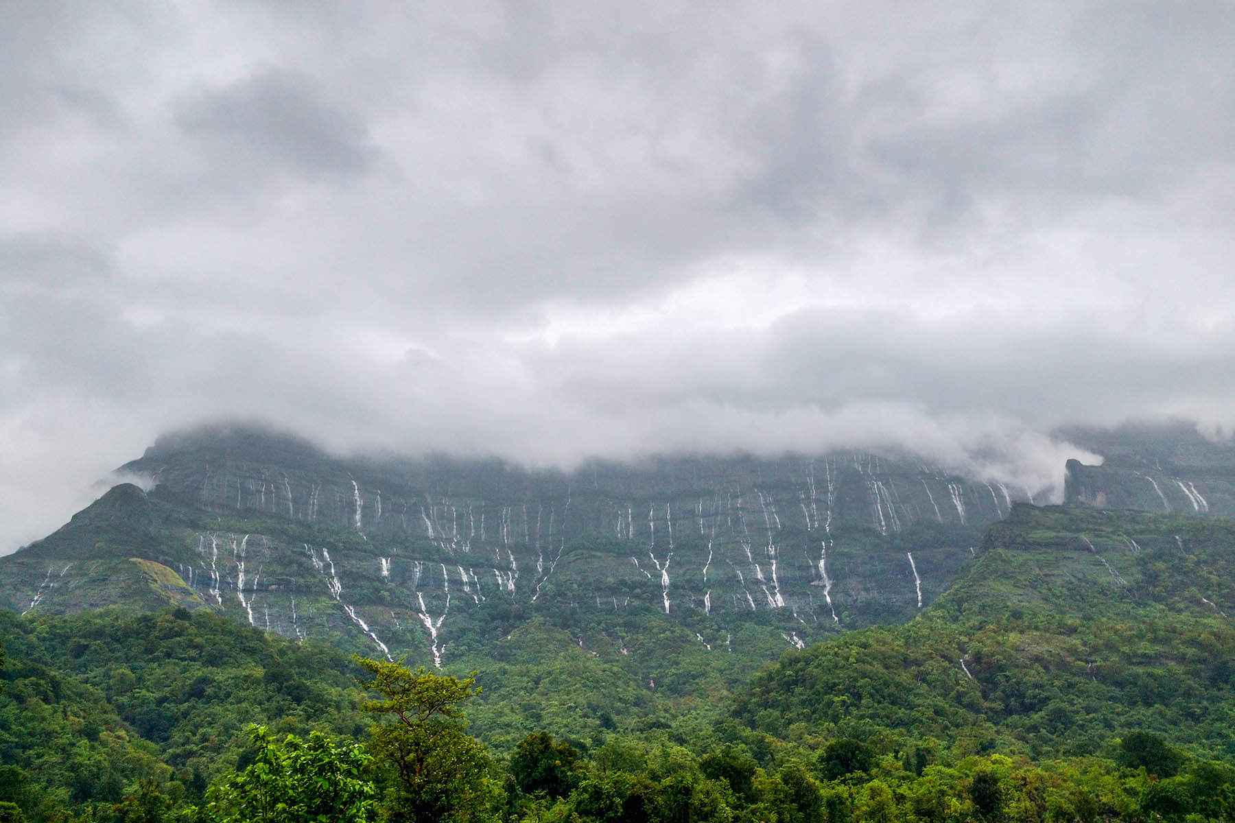 महाराष्ट्र की प्राकृतिक सुंदरता से भरपूर है मालशेज घाट: Malshej Ghat ...