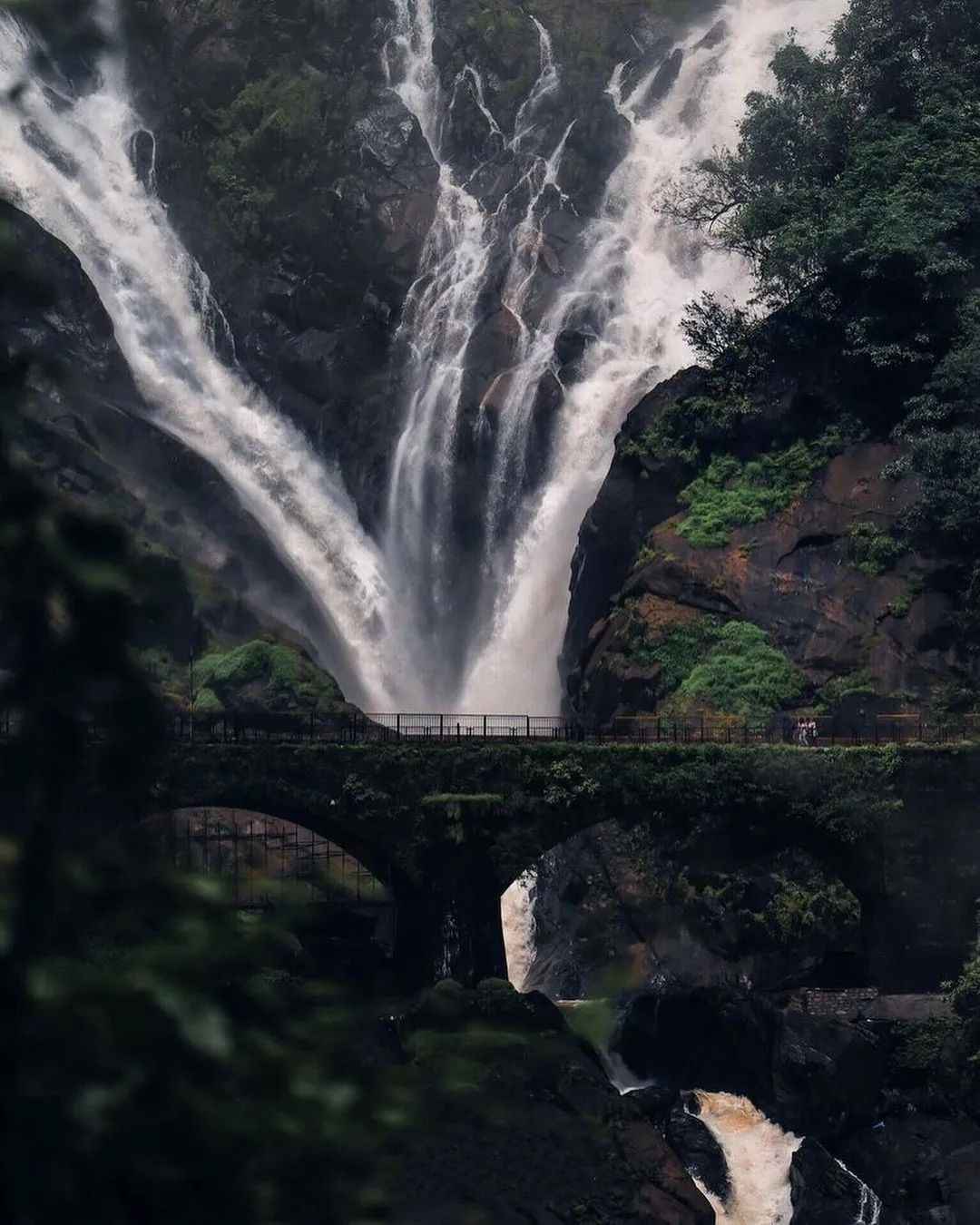 दूधसागर वाटरफाल्स गोवा कैसे पहुंचें, समय, टिकट सम्पूर्ण जानकारी ...